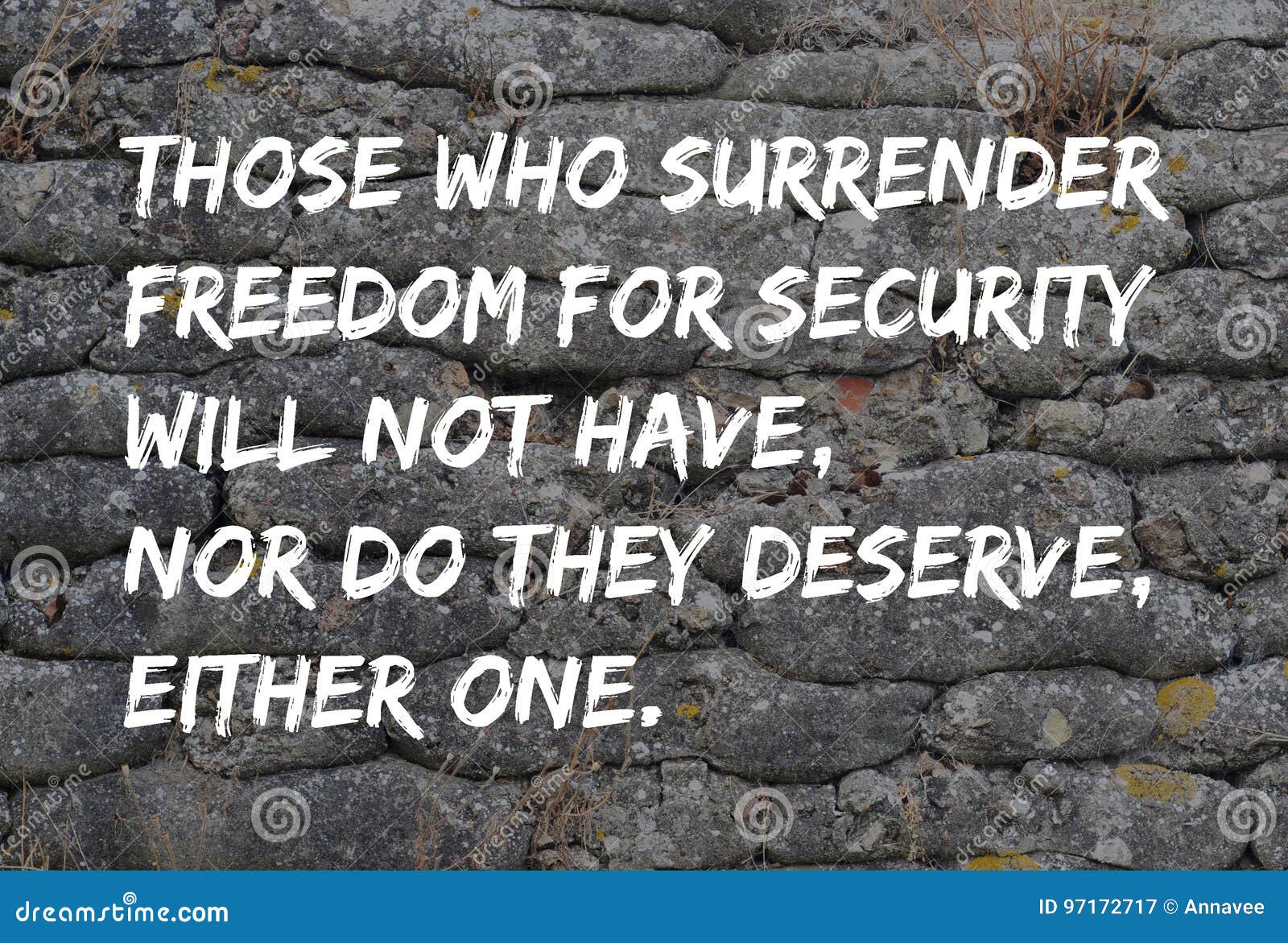 Freedom or security stock image. Image of thought, lichen - 97172717