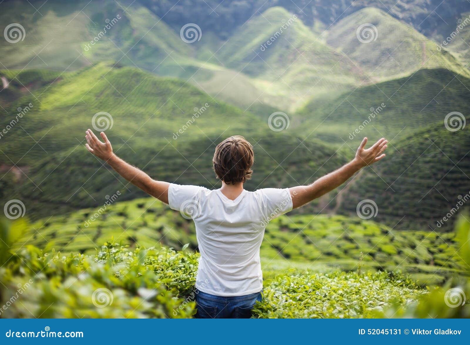 Freedom Young Man with Hands Up Stock Image - Image of nature, happy ...