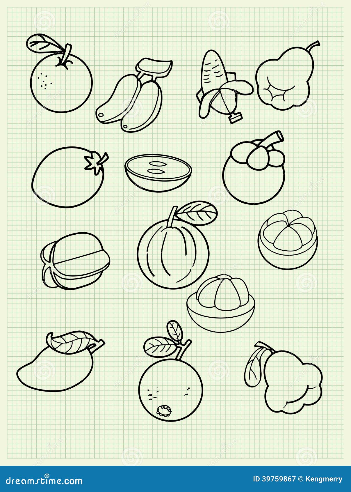 Freehand Drawing Fruit on Paper. Stock Vector - Illustration of draft ...