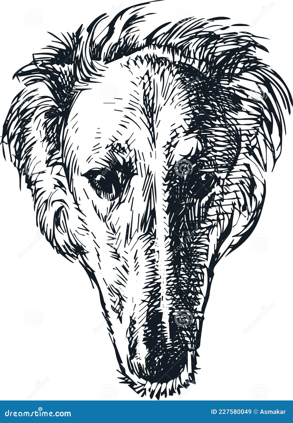 Freehand Drawing of Head Purebred Greyhound Stock Vector - Illustration ...