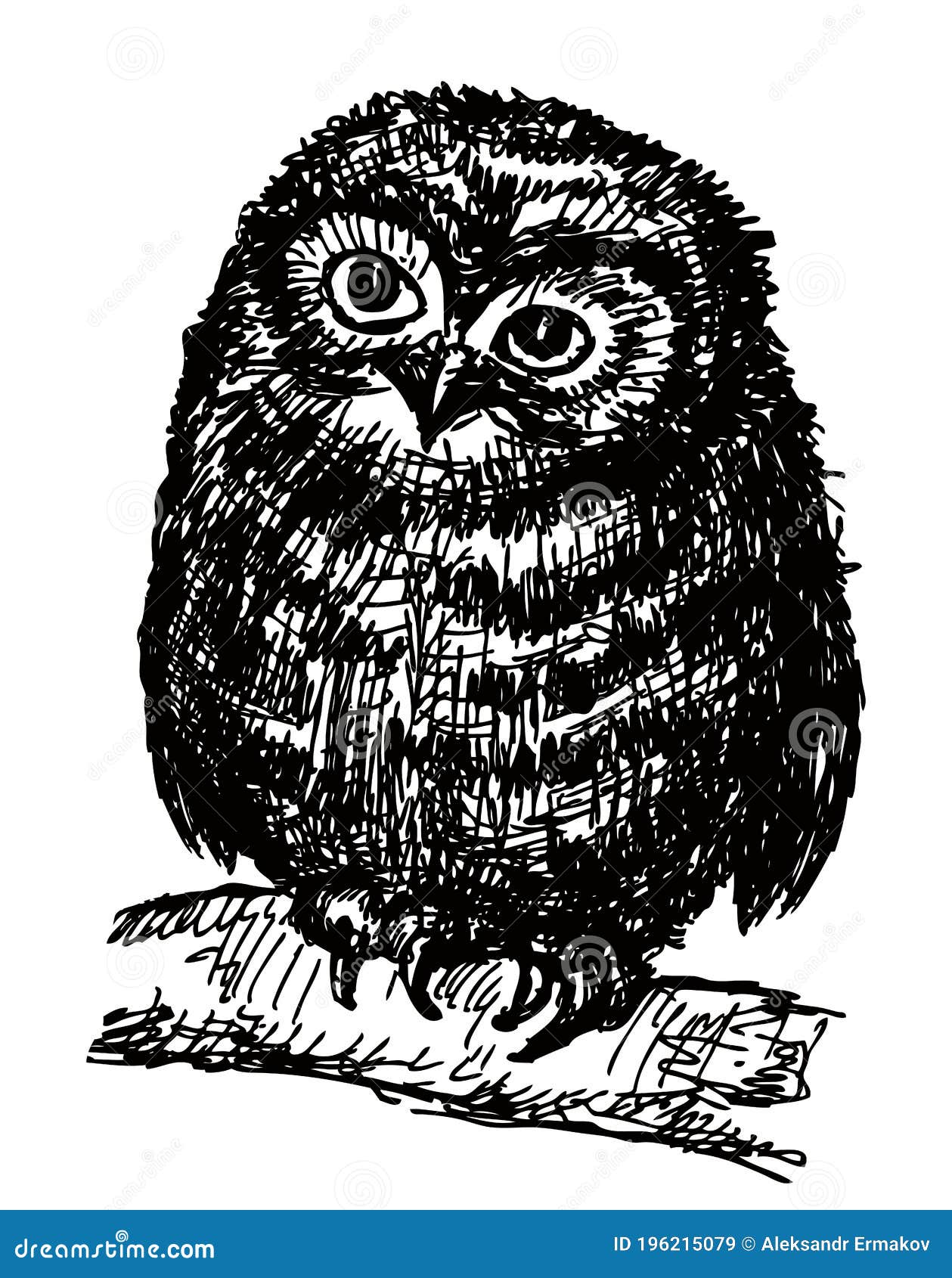 Freehand Drawing Of An Owlet Sitting On Tree Branch Stock Image ...