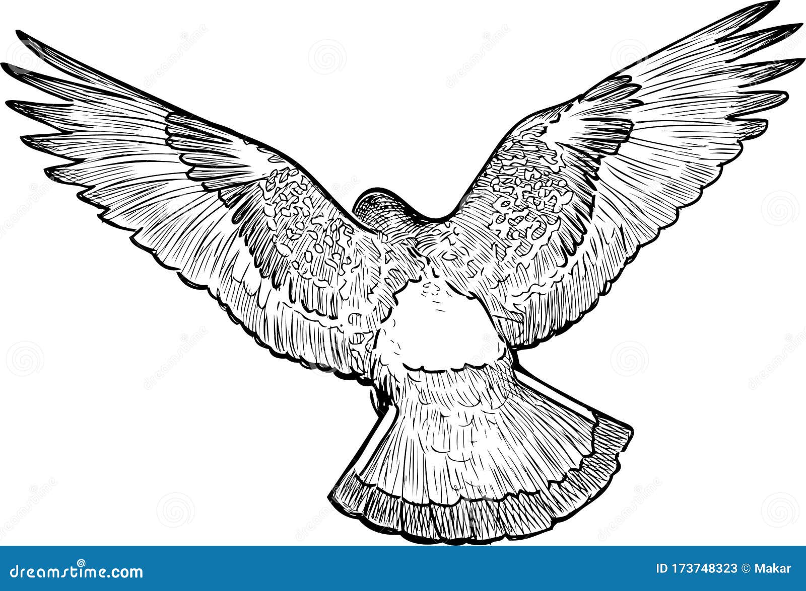 Freehand Drawing of a Pigeon in Flight Stock Vector - Illustration of ...