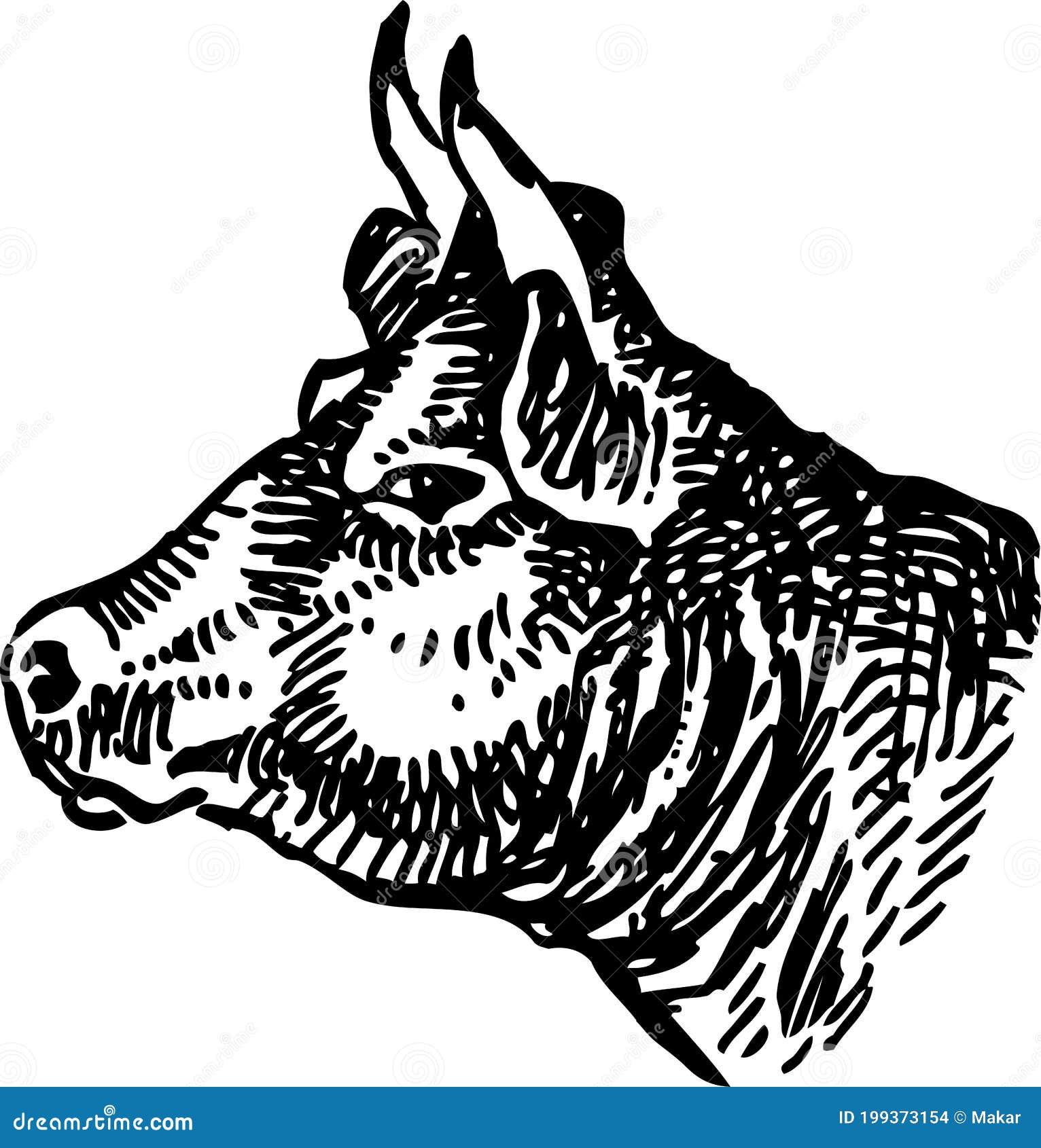 Freehand Drawing of Profile Cowhead Stock Vector - Illustration of ...