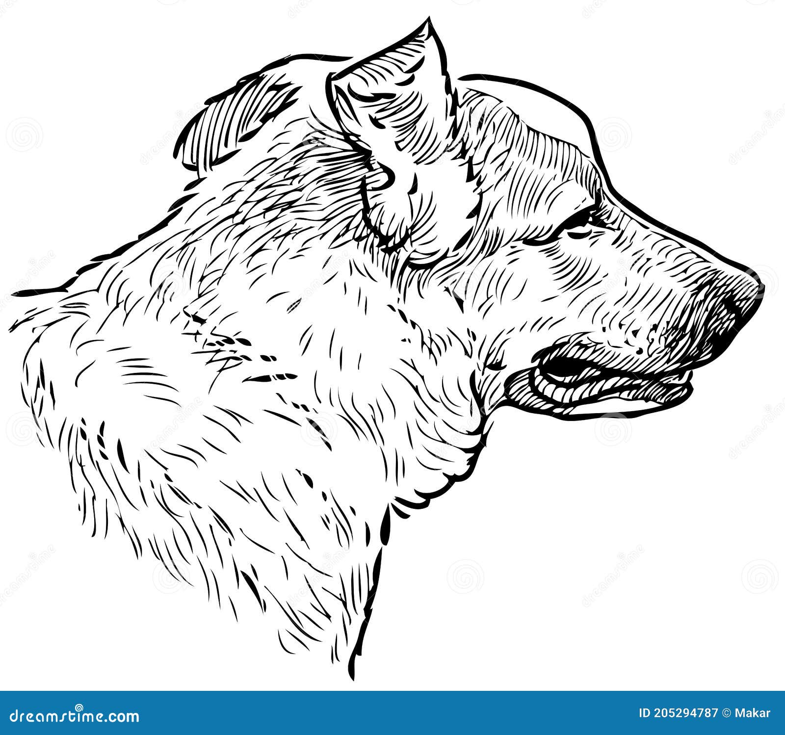 Freehand Drawing of Profile Head of Watchdog Stock Vector ...