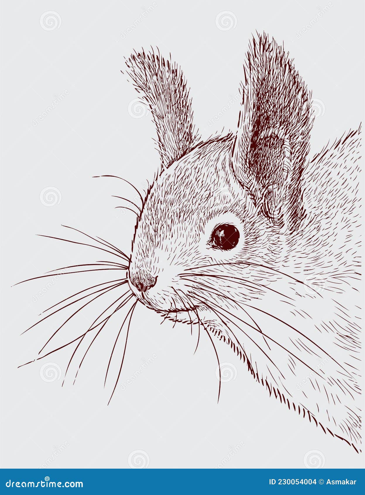 Freehand Drawing of Profile Portrait Cute Fluffy Forest Squirrel Stock ...