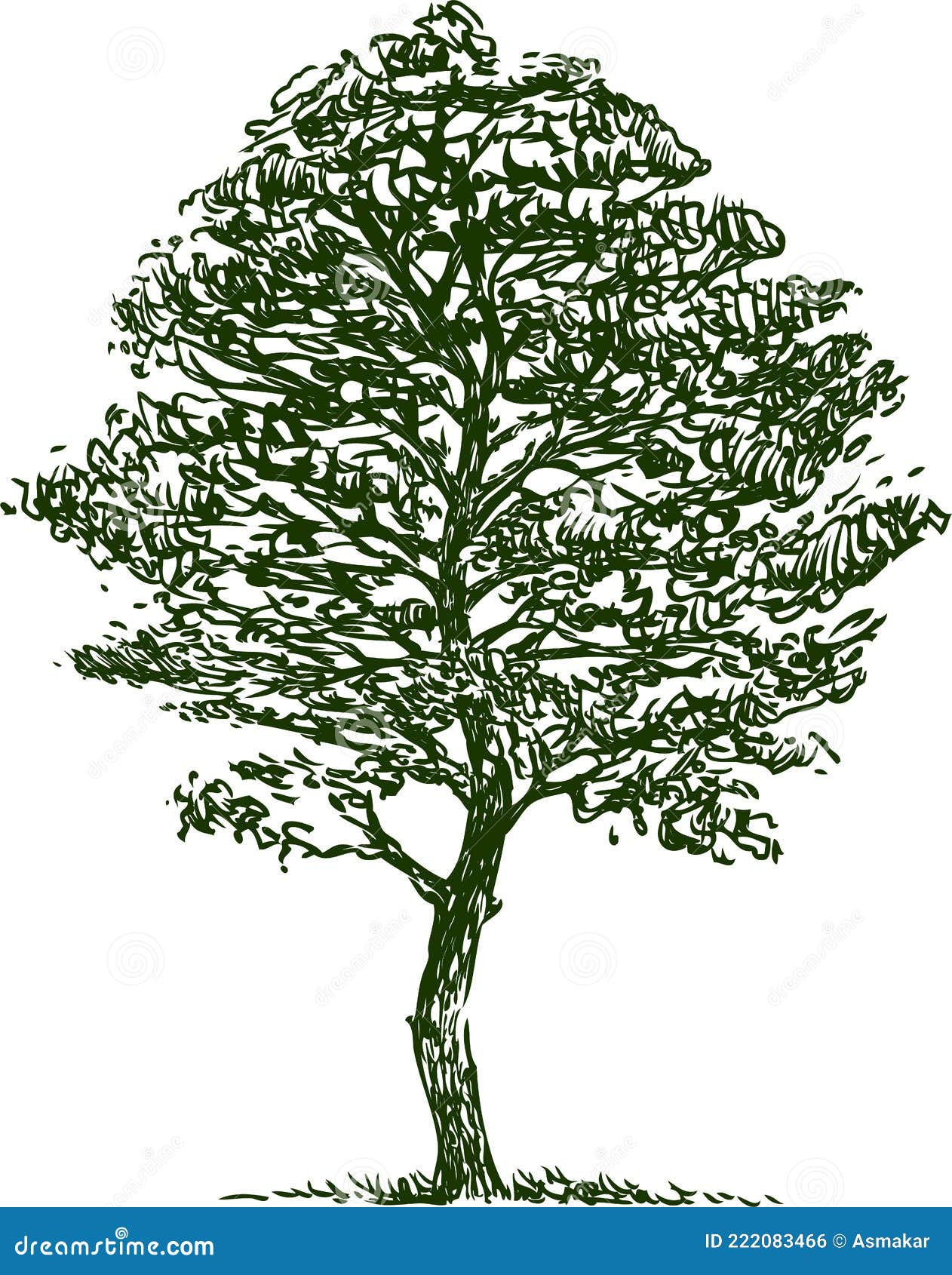 Deciduous Tree Vector Illustration | CartoonDealer.com #5816096
