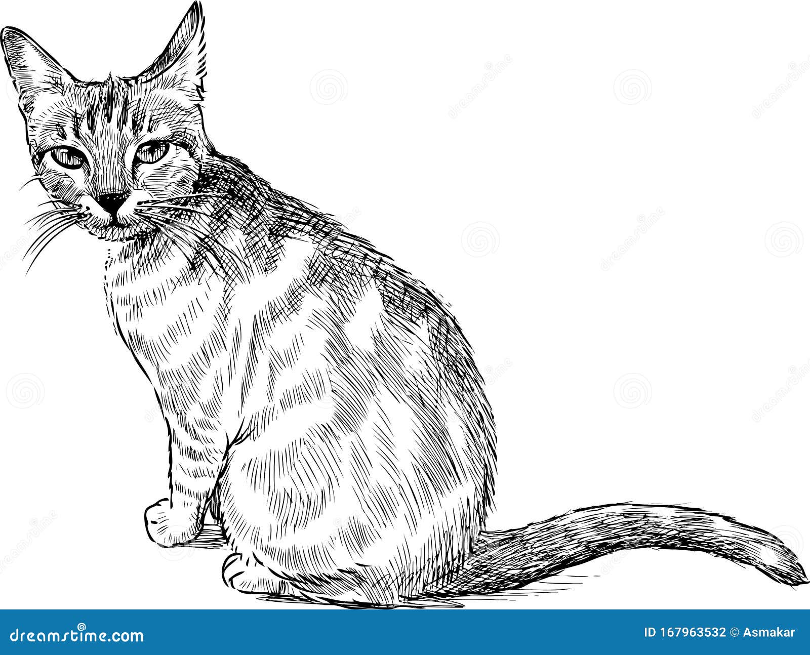 Freehand Drawing of Small Kitten Sitting and Looking Stock Vector ...