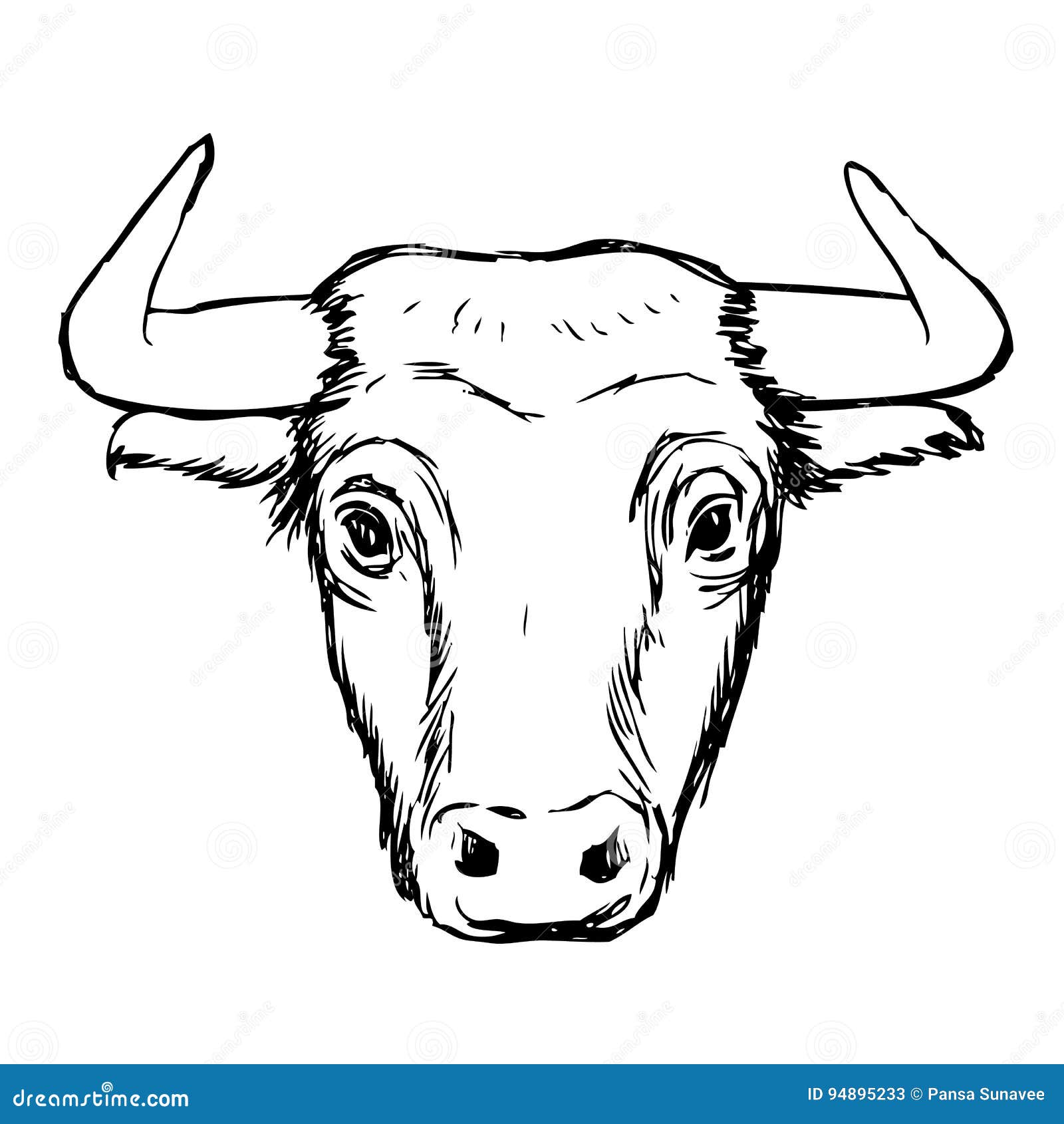 Freehand Sketch Illustration of Bull Stock Vector - Illustration of ...