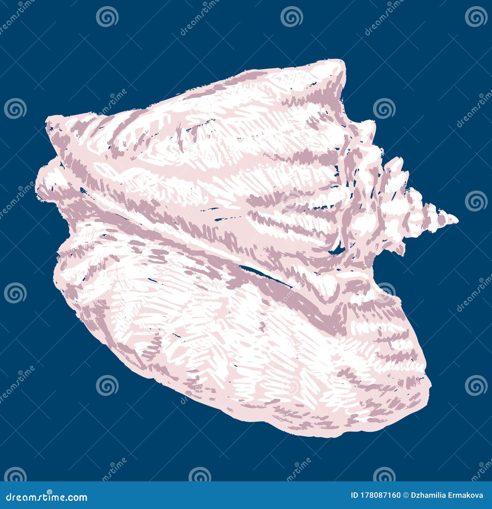 Freehand Vector Drawing of Big Seashell Stock Vector - Illustration of ...