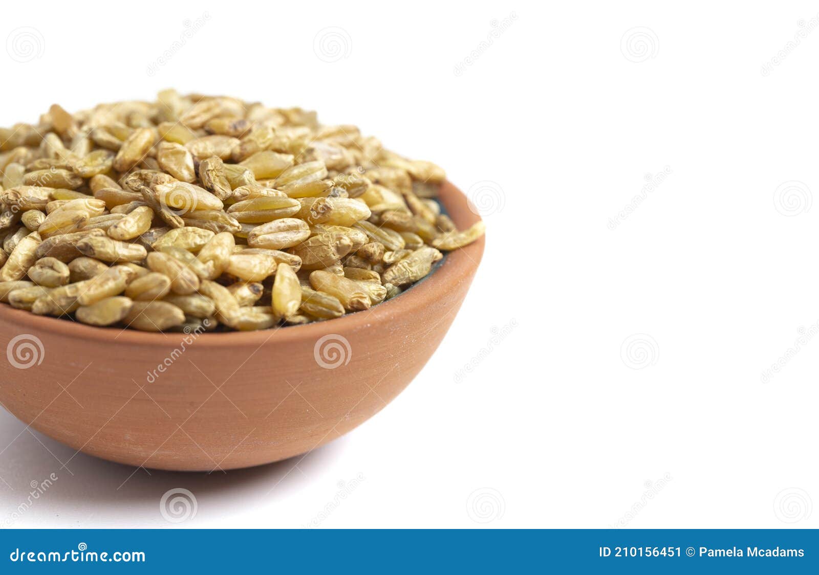 Freekeh Grain on a White Background Stock Image - Image of food ...