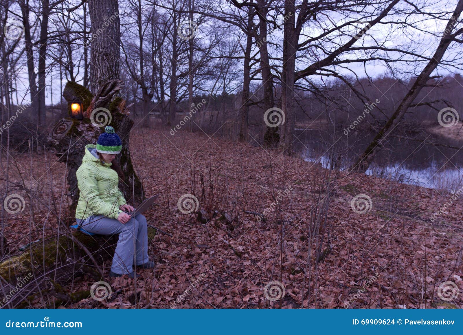 Freelance Work on the Laptop in the Woods Stock Photo - Image of girl ...