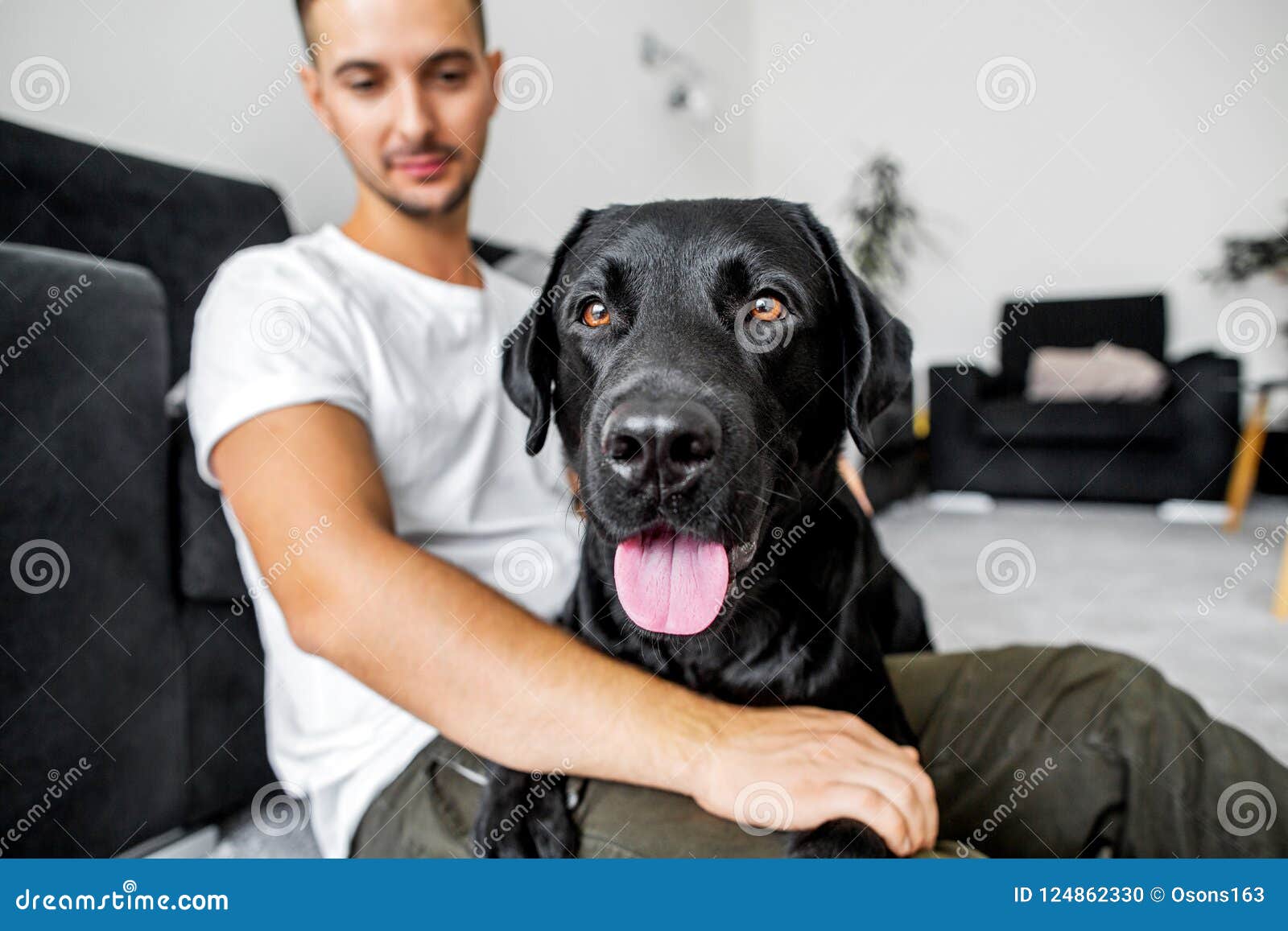 Freelancer Guy Sitting at Home Working with a Dog in an Embrace, Black ...