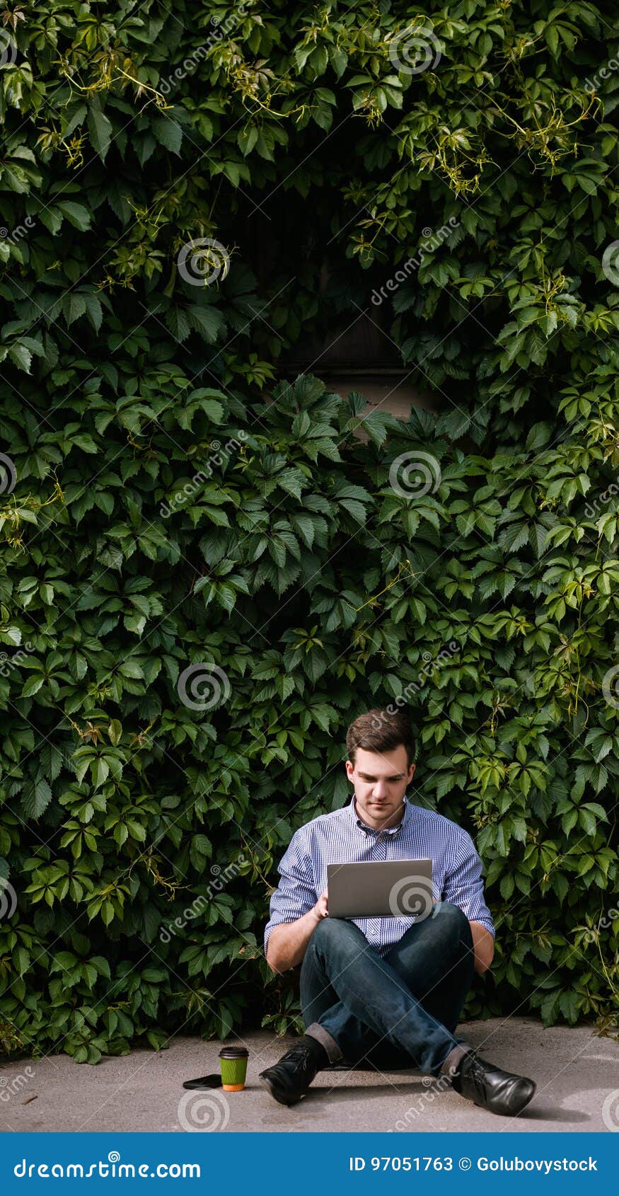 Freelancer Introvert Working on the Street Stock Image - Image of leaf ...