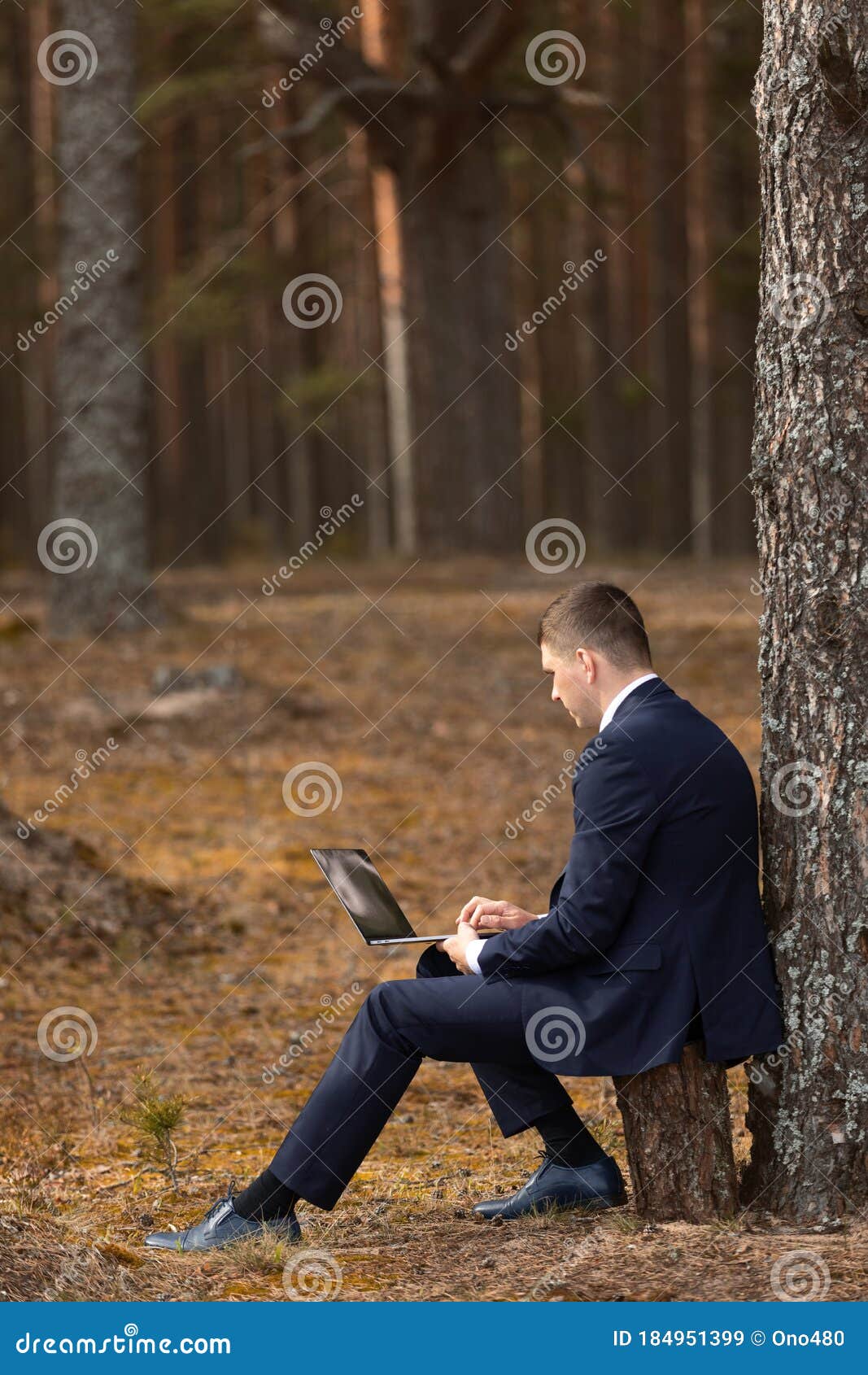 Freelancer with Laptop Working in Forest Stock Image - Image of ...