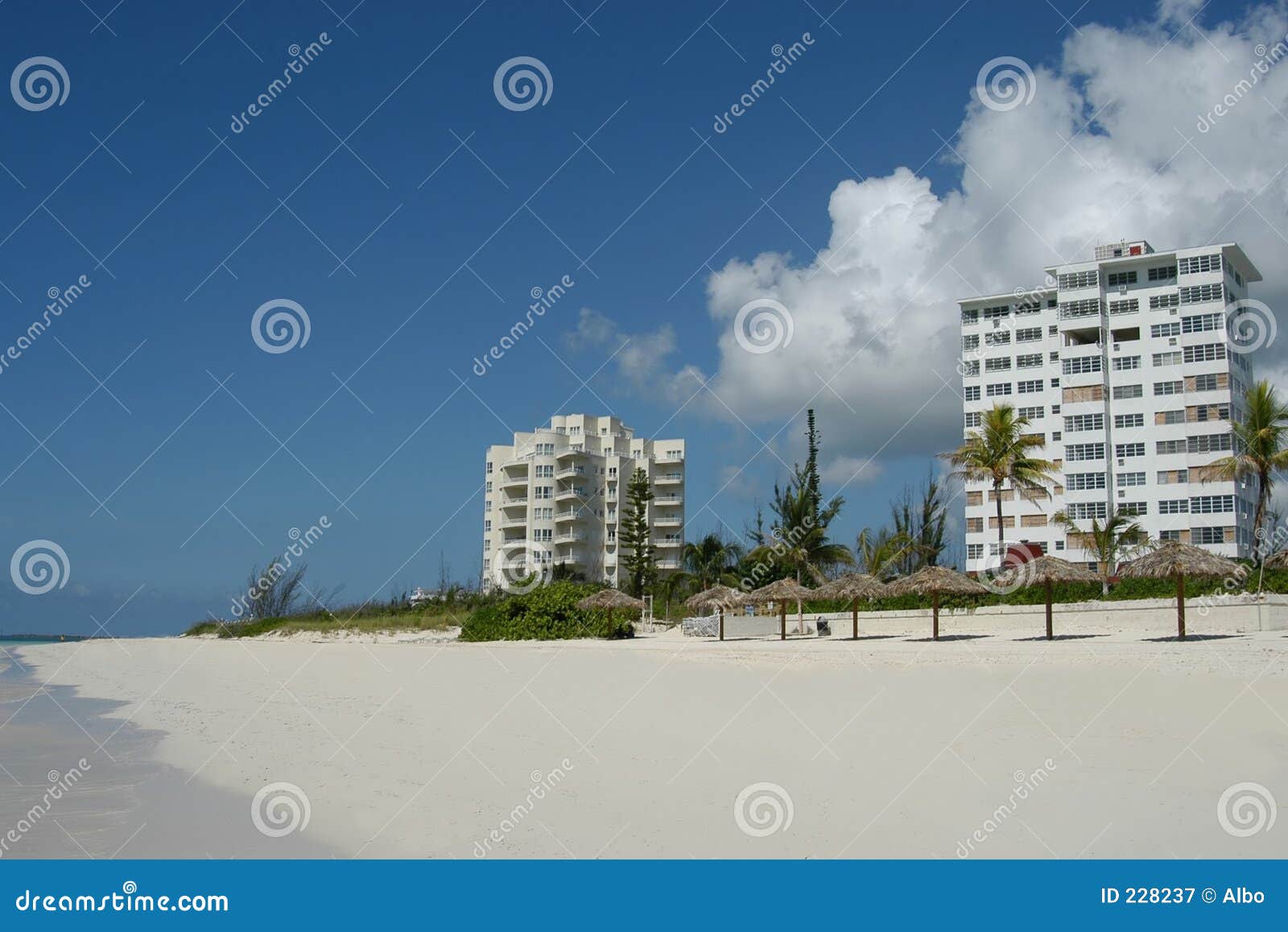 Freeport beach stock image. Image of palm, holidays, vegetation - 228237