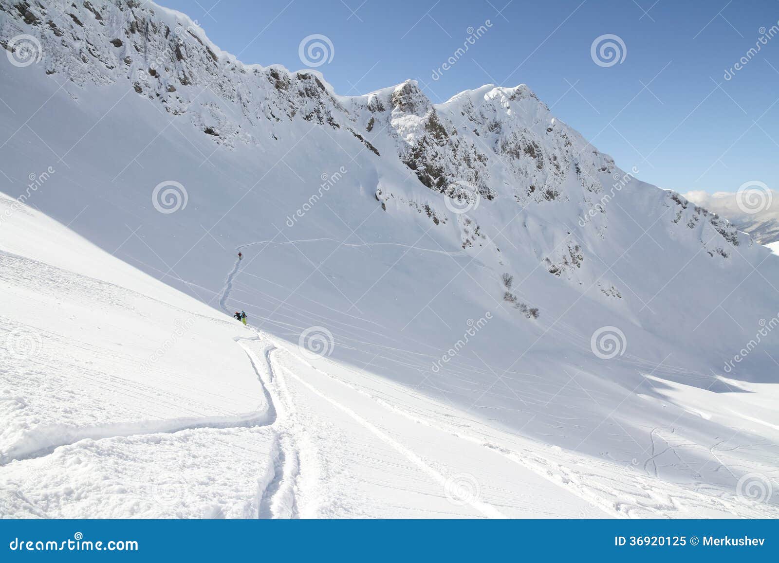 Freeride, Tracks on a Slope Stock Image - Image of alpine, adventure ...