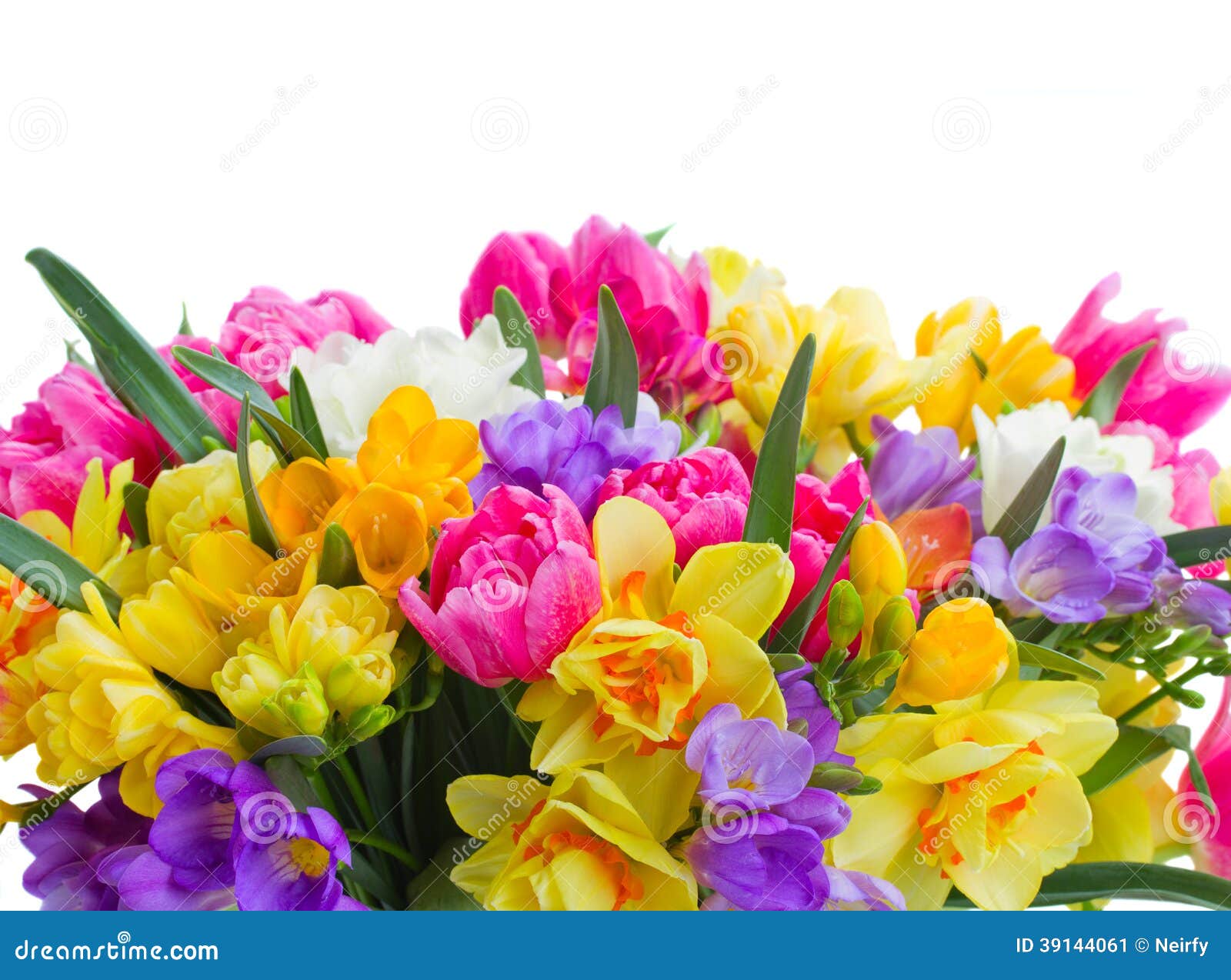 160 Freesia Flower Border Design Photos - Free & Royalty-Free Stock ...