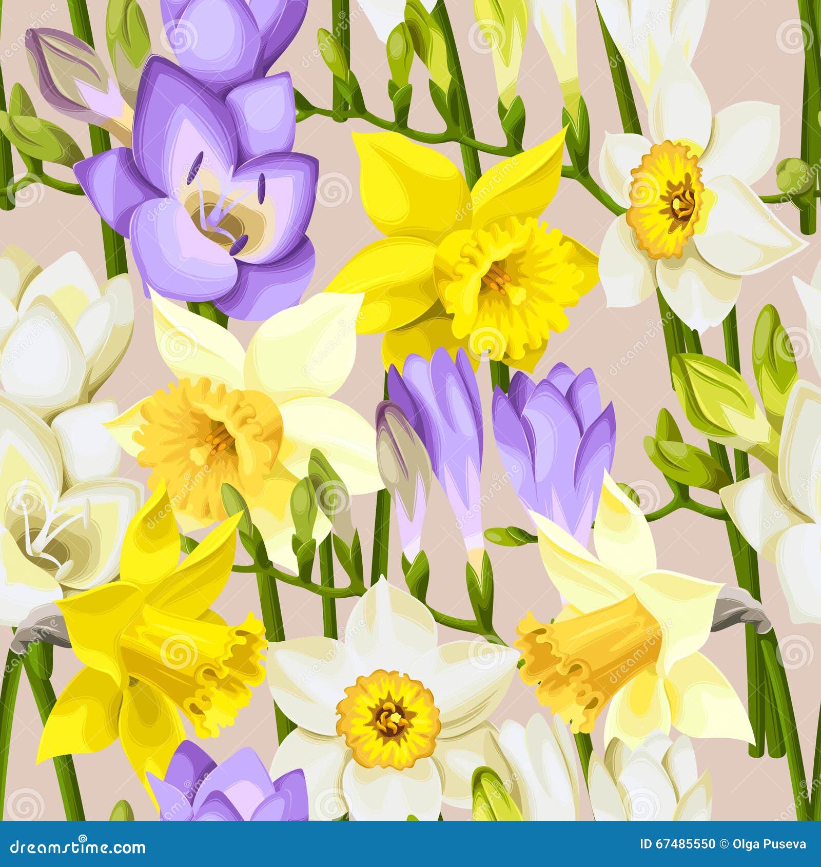Daffodil Vector Stock Illustrations – 8,005 Daffodil Vector Stock ...