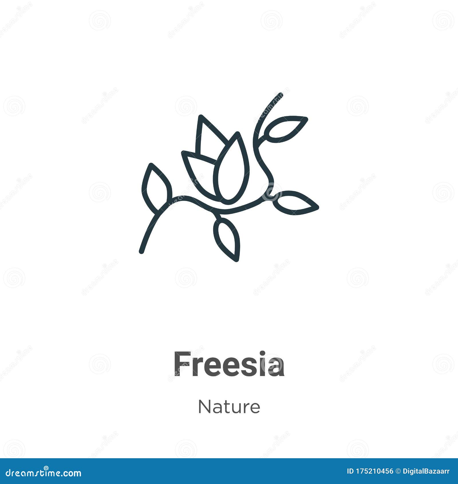 Freesia Outline Vector Icon. Thin Line Black Freesia Icon, Flat Vector ...