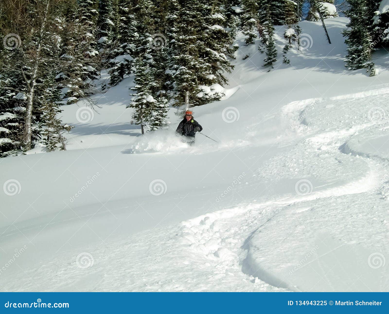 Freeskier in the Bugaboos, a Mountain Range in the Purcell Mountains ...