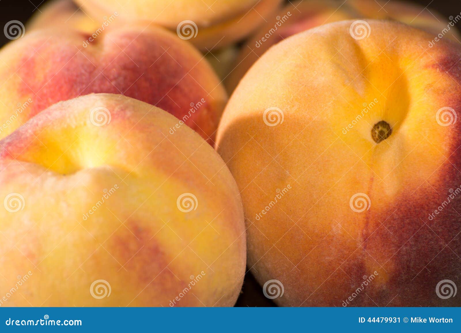 Freestone Peaches stock image. Image of farm, freestone - 44479931