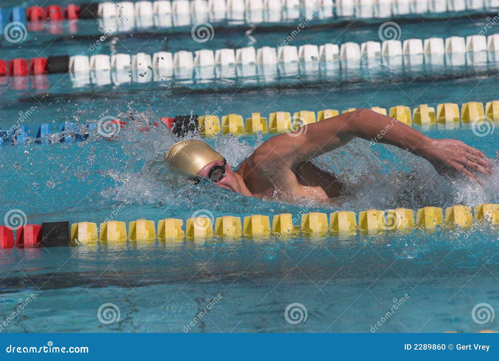 Freestyle action stock photo. Image of swimmer, summer - 2289860