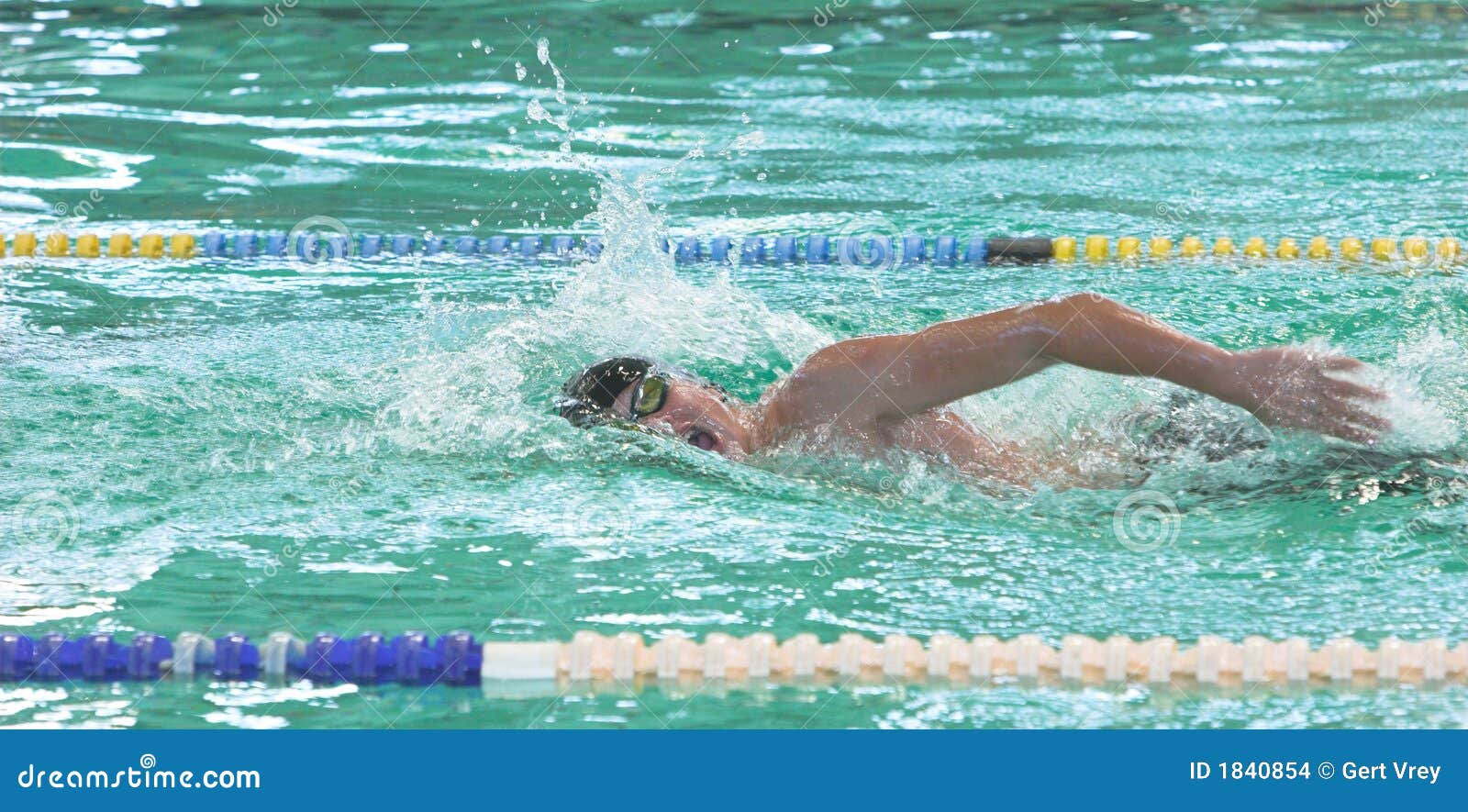 Freestyle boy stock photo. Image of fitness, enjoy, swim - 1840854