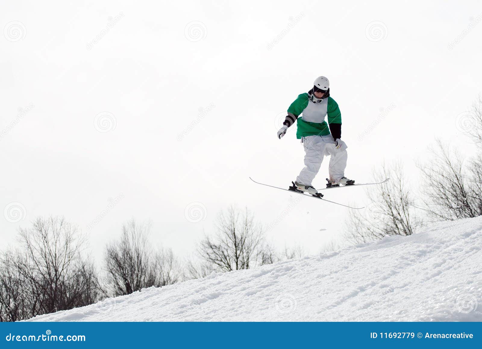 Freestyle Skier stock image. Image of reverse, skill - 11692779