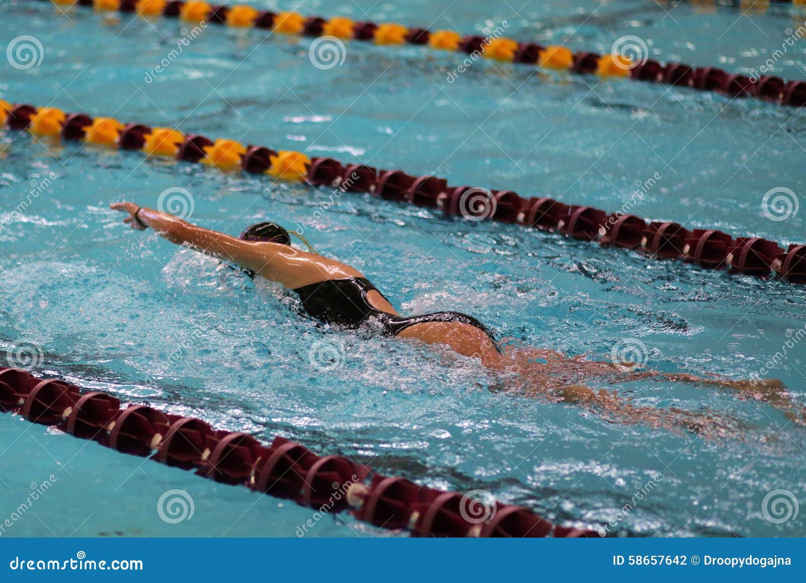Freestyle Stroke at the Swimming Event Stock Photo - Image of butterfly ...