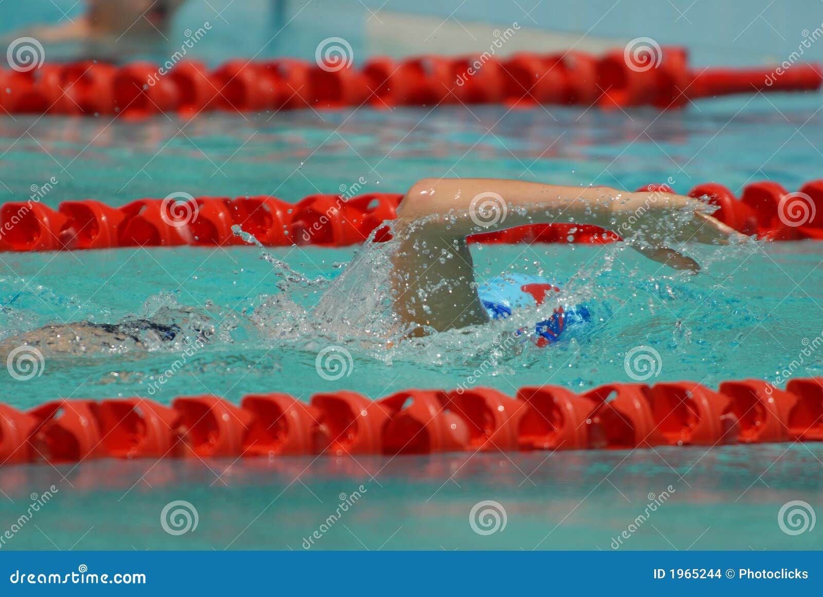 Freestyle Swimming Race stock photo. Image of pool, competition - 1965244