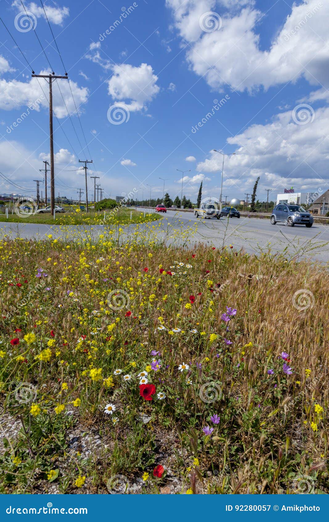 Freeway and Flowers on the Roadside Stock Image - Image of landscape ...