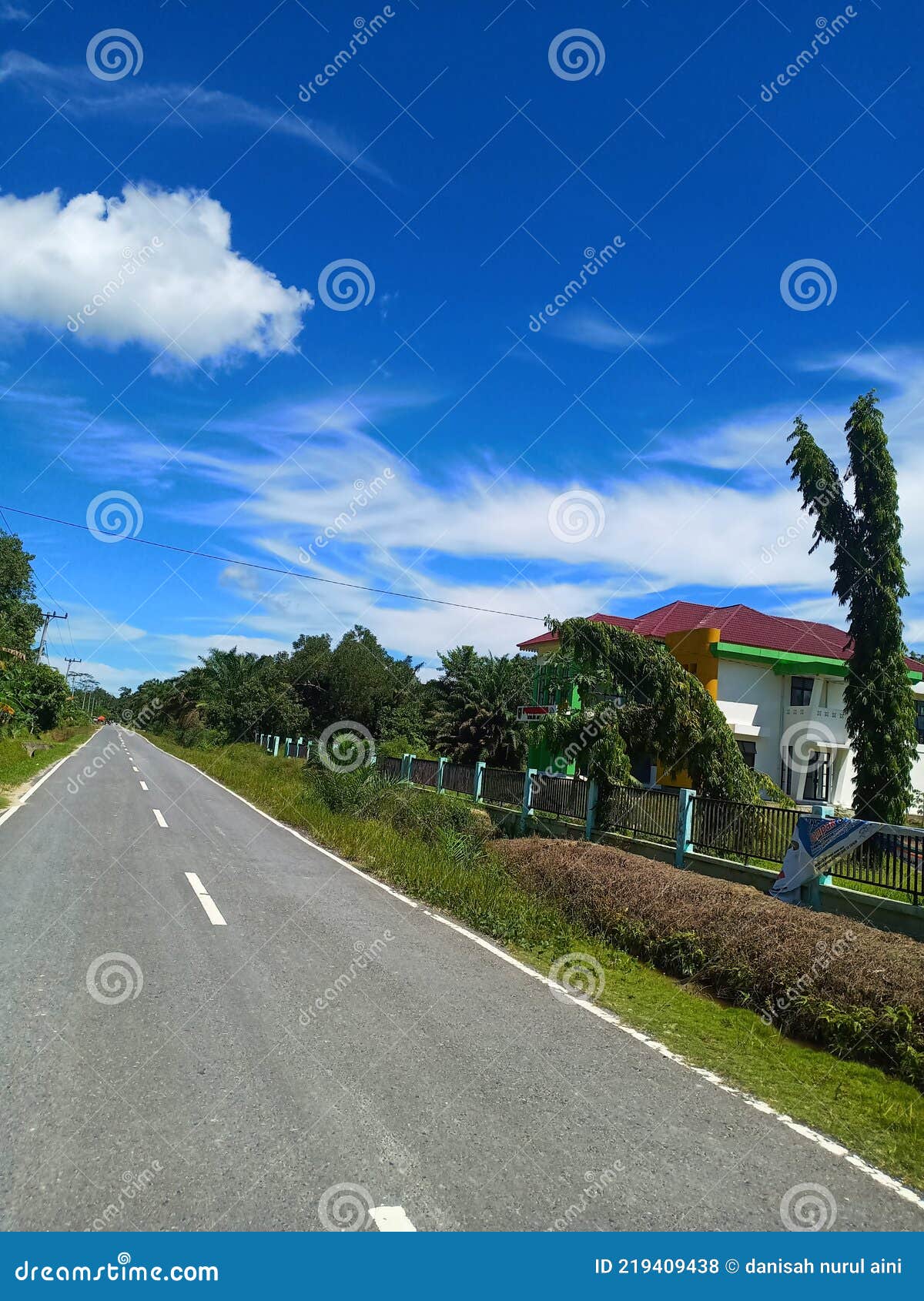 Freeway and plant stock photo. Image of highway, lane - 219409438