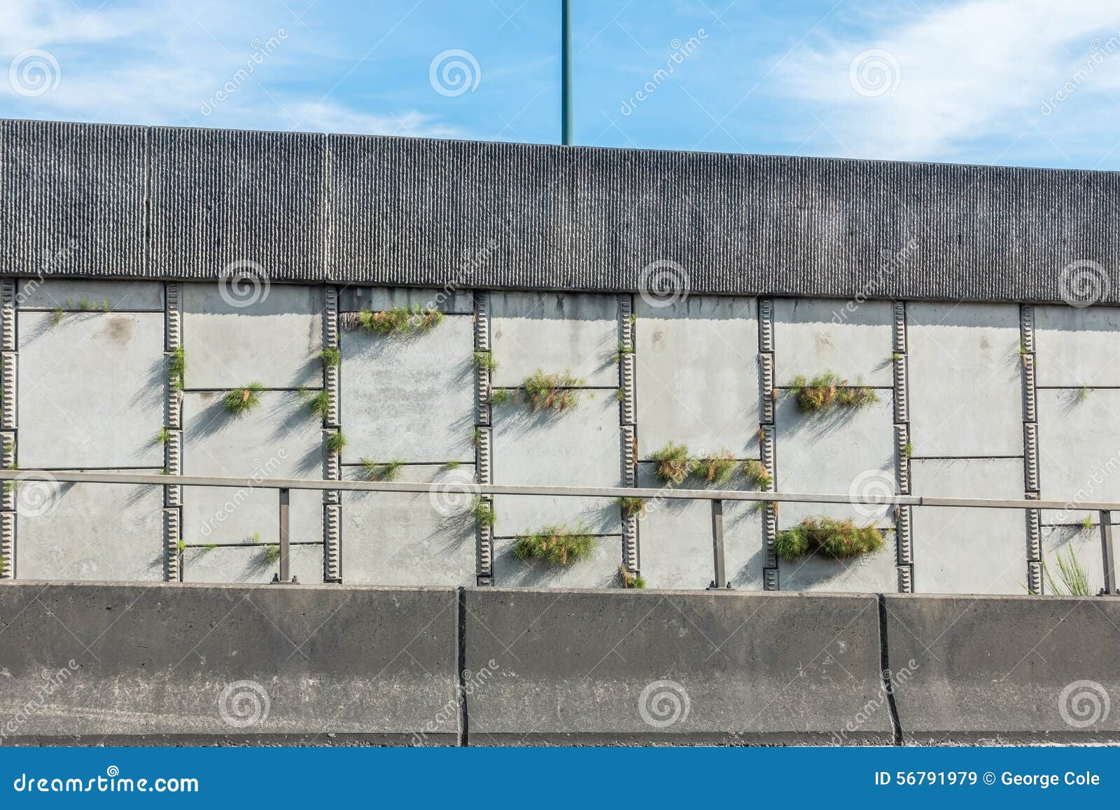 Freeway Plants Closeup stock image. Image of closeup - 56791979