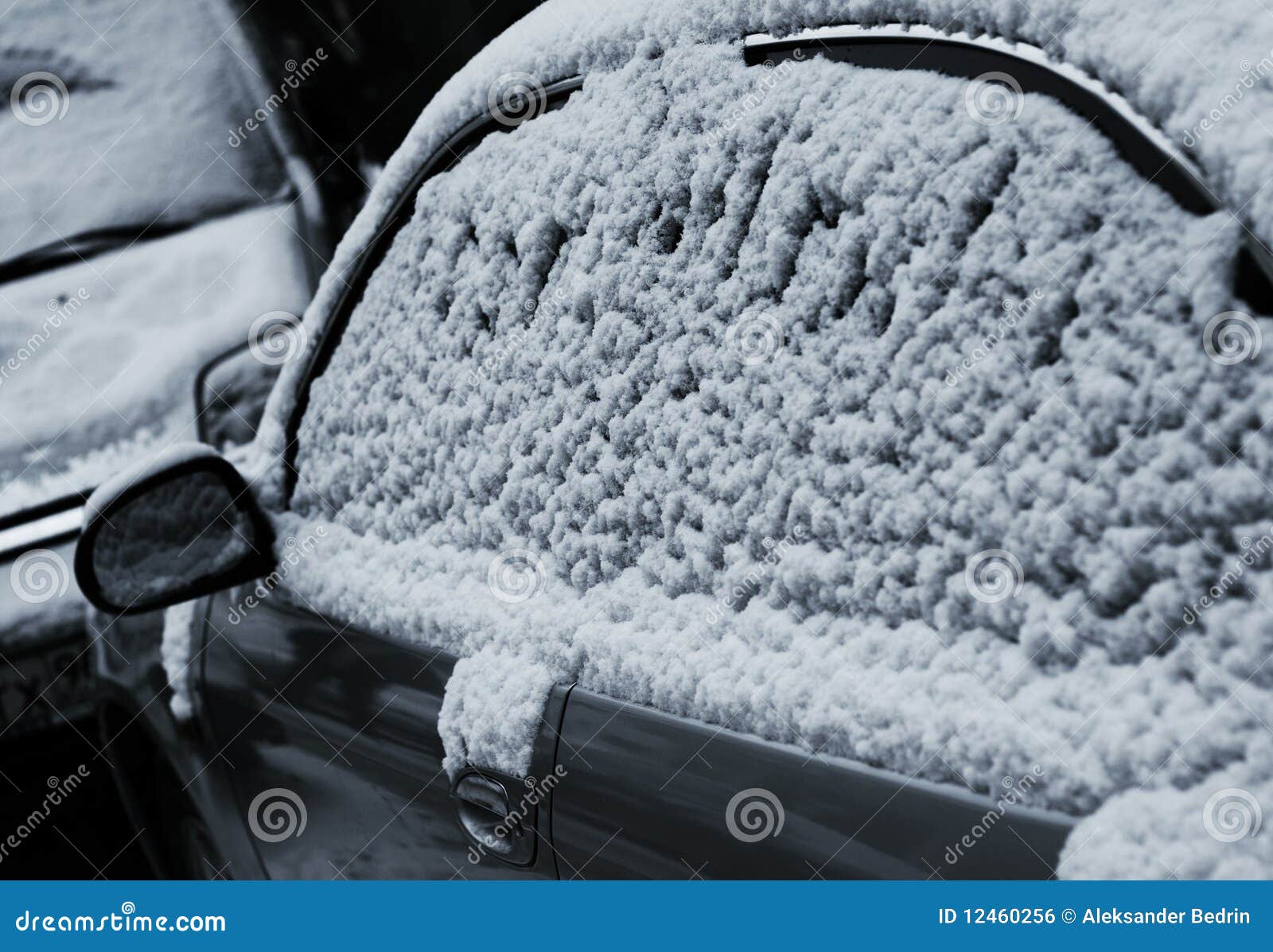 Freeze stock photo. Image of freshness, christmas, snowdrift - 12460256