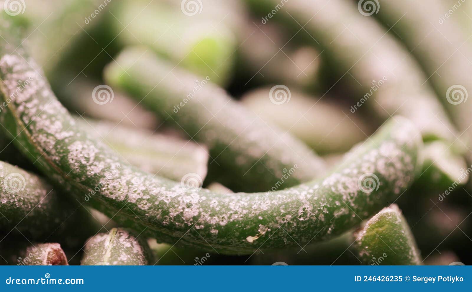 Freeze-dried String Beans in Bulk Stock Video - Video of closeup ...