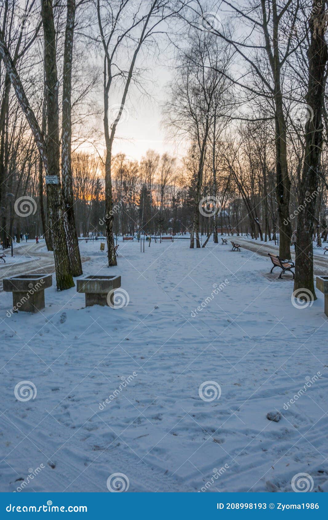Freeze Landscape of the Forest during the Sunset. Trees are Highlighted ...