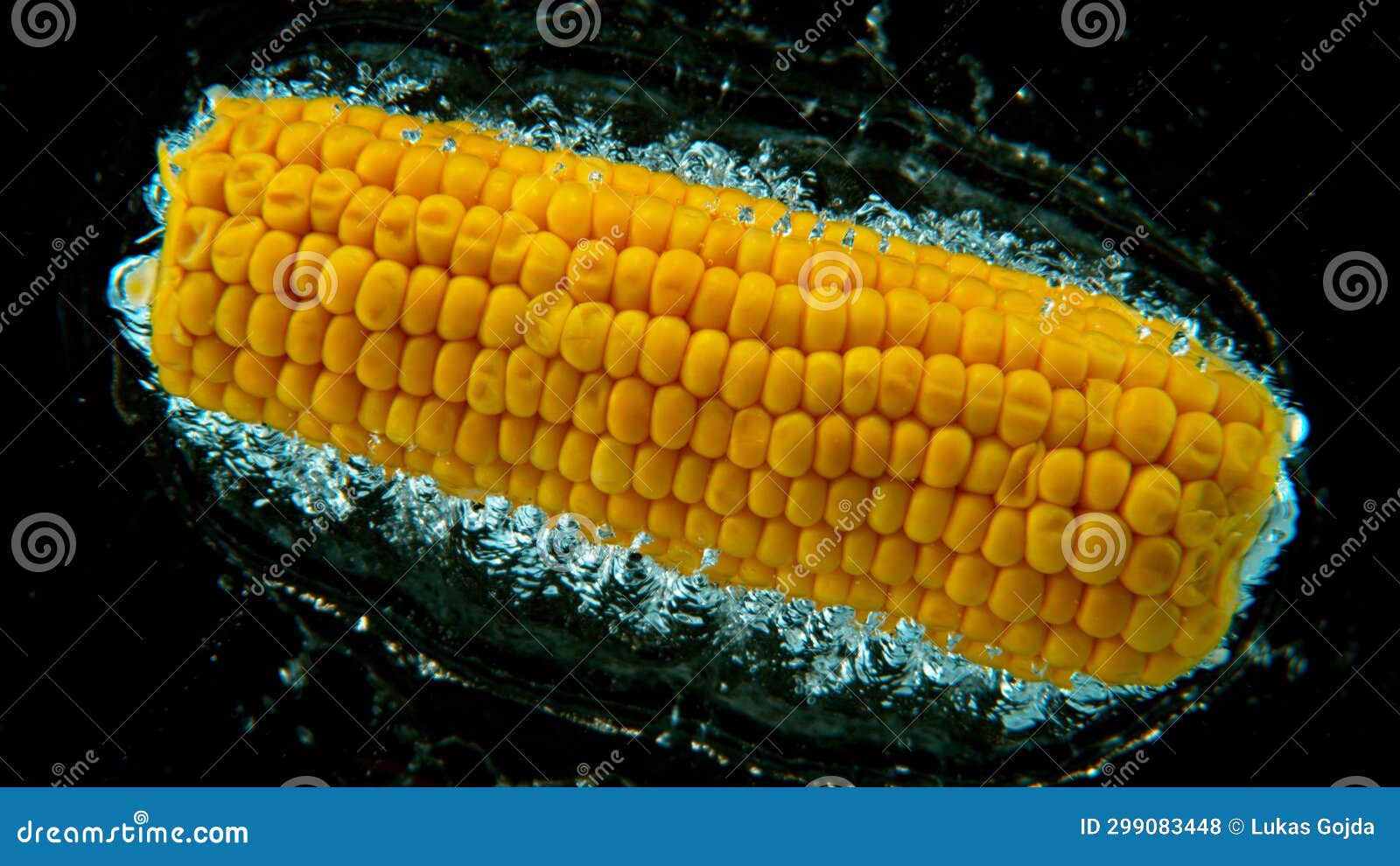 Freeze Motion Shot of Falling Corn Cob into Water Stock Illustration ...