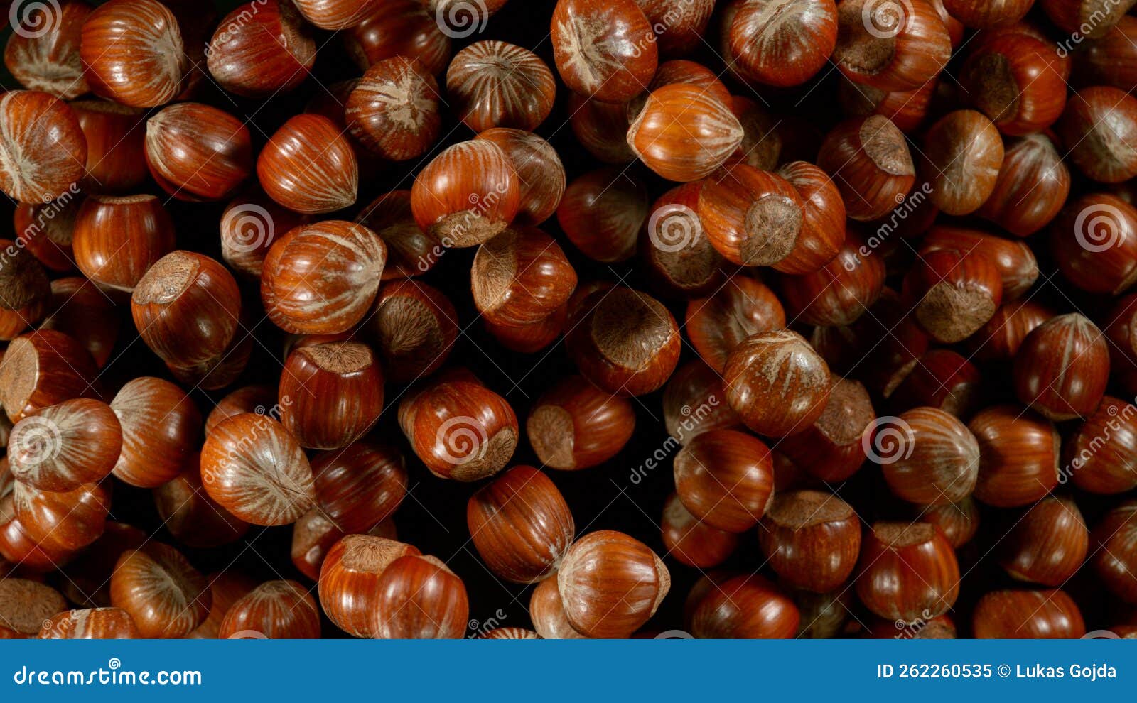 Freeze Motion Shot of Flying Whole Hazelnuts Stock Image - Image of ...