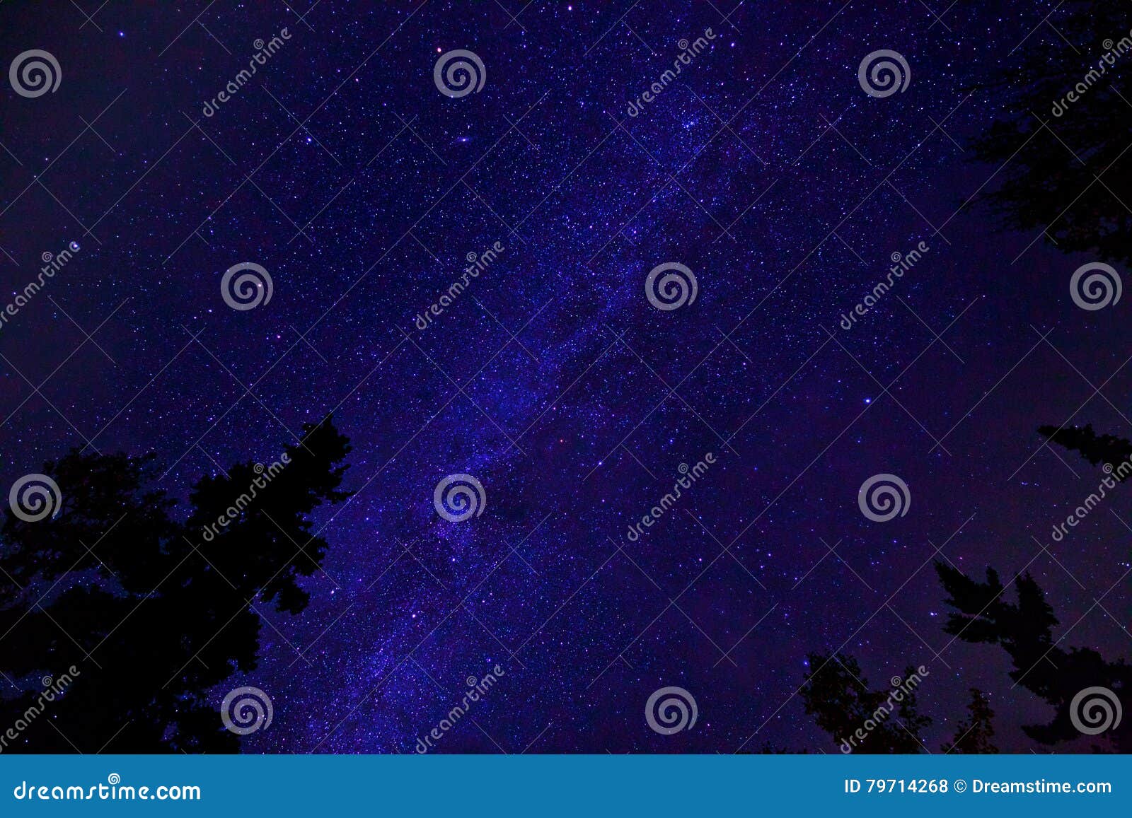 Freeze stock photo. Image of lake, starry, peace, stargazing - 79714268