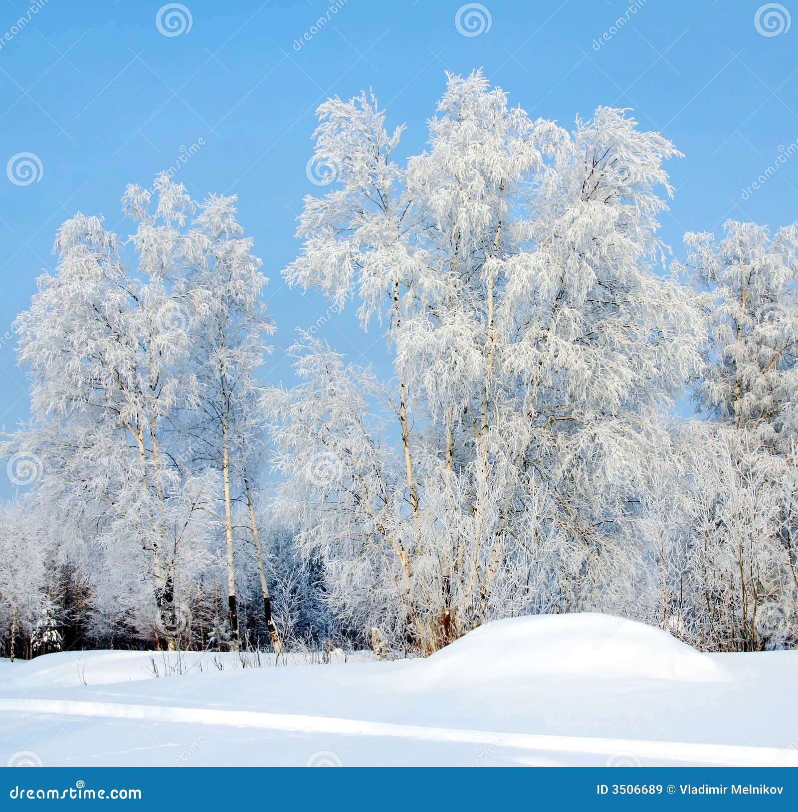 The Freezing day stock image. Image of landscape, february - 3506689