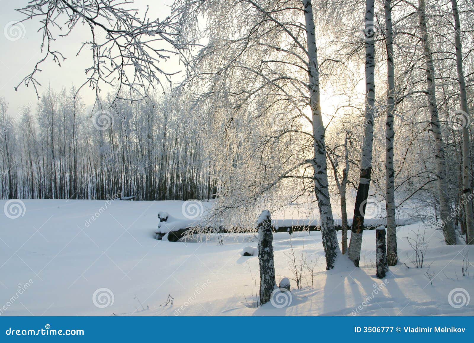 Freezing day stock image. Image of rays, snowdrift, panorama - 3506777