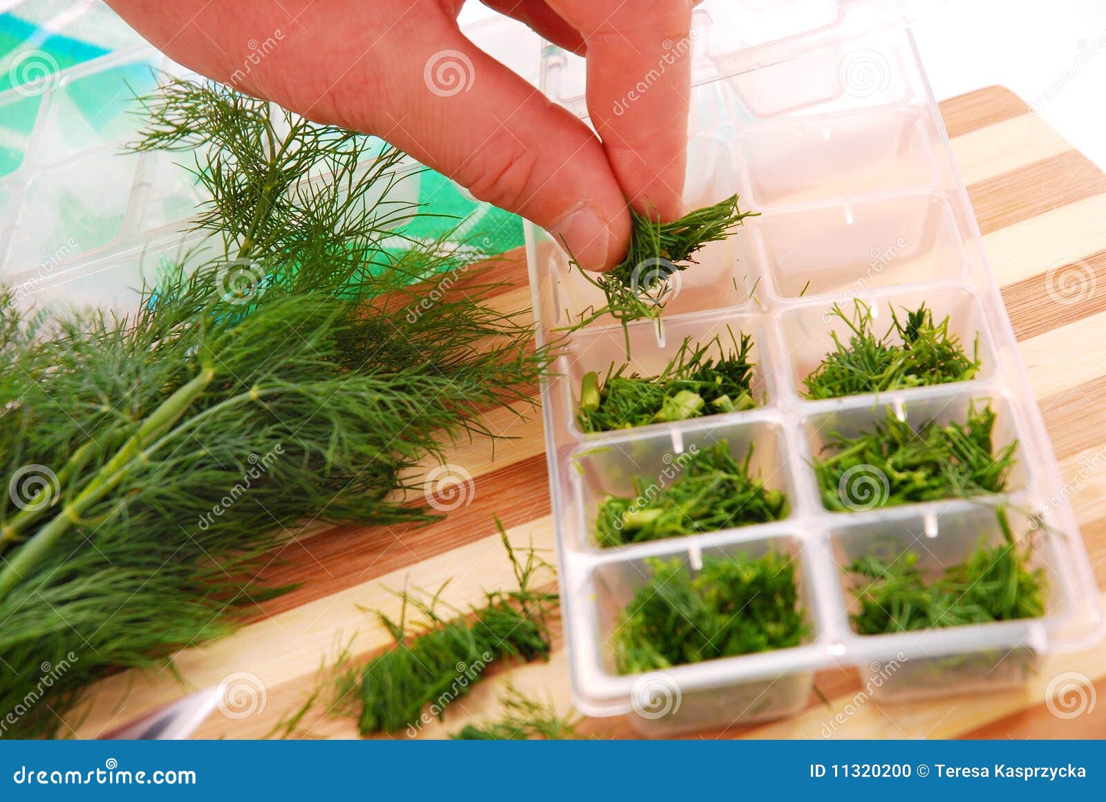 Freezing the Dill for Winter Stock Photo - Image of season, cool: 11320200