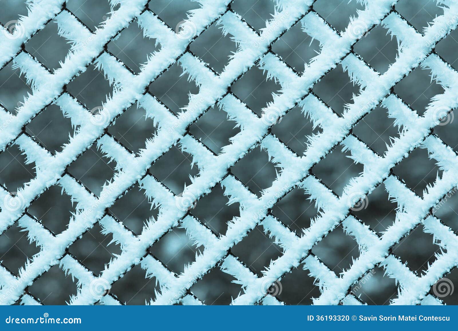 Freezing fence pattern stock photo. Image of leaves, horse - 36193320
