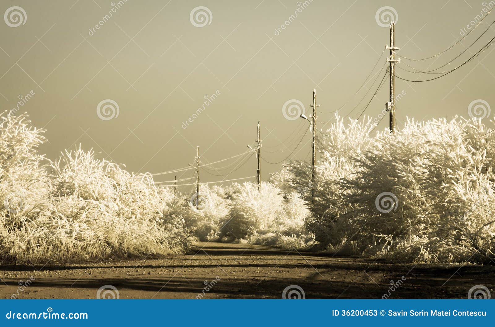 Freezing fog stock image. Image of meteorological, january - 36200453