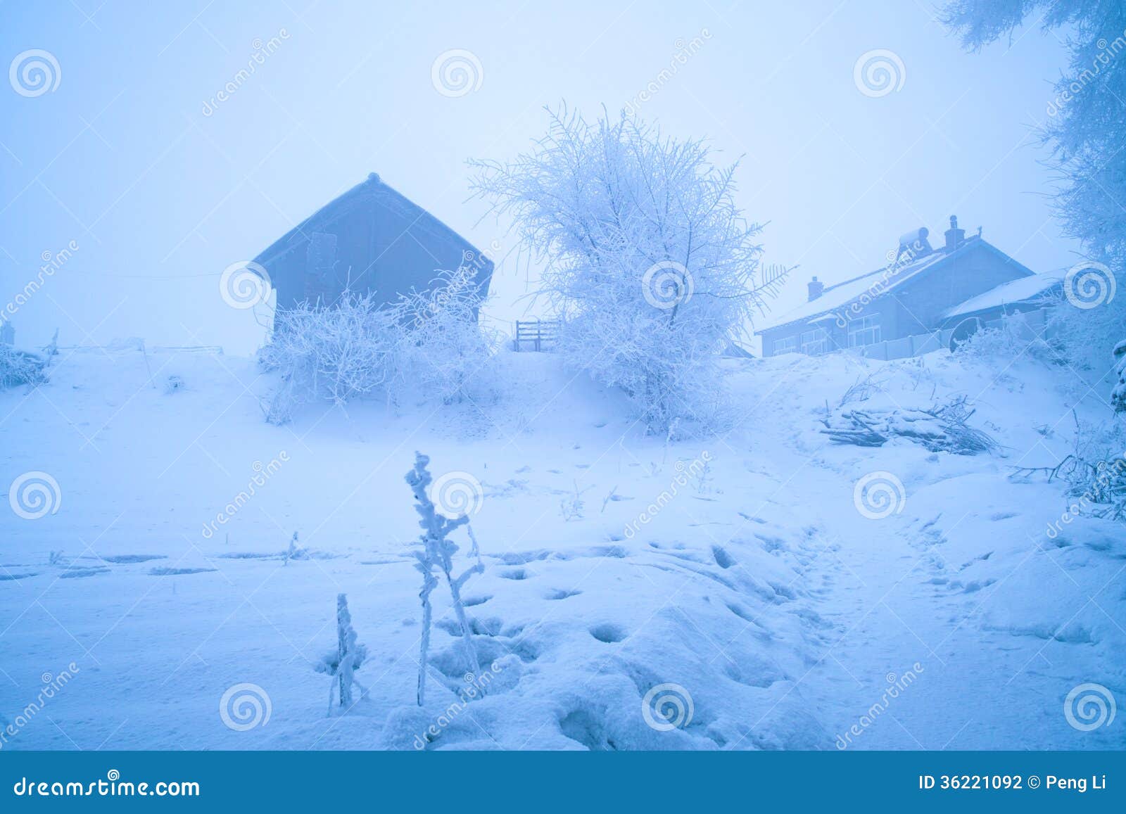 A freezing morning stock photo. Image of foggy, island - 36221092