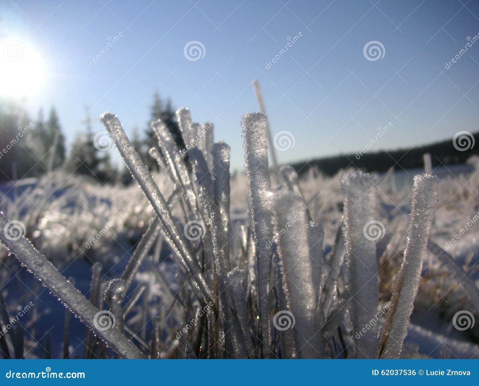 Freezing Morning at the Mountain Lake Stock Photo - Image of beautiful ...