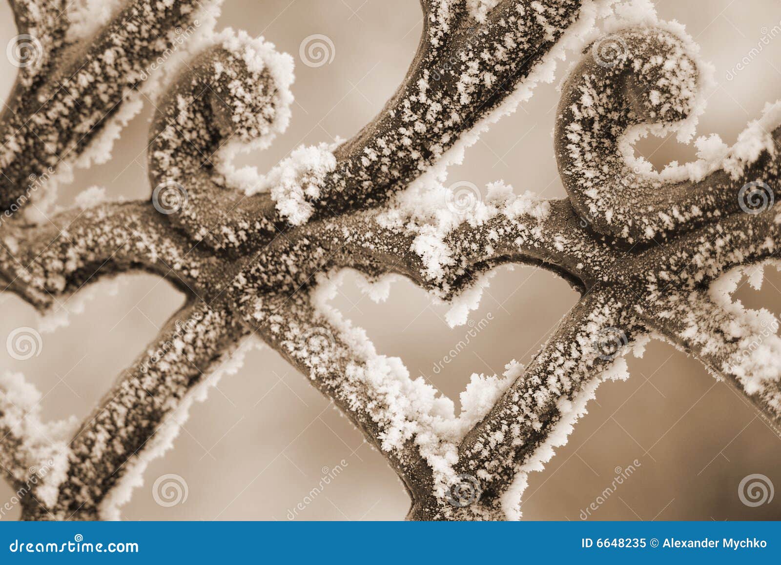 Freezing patterns on metal stock image. Image of patterns - 6648235