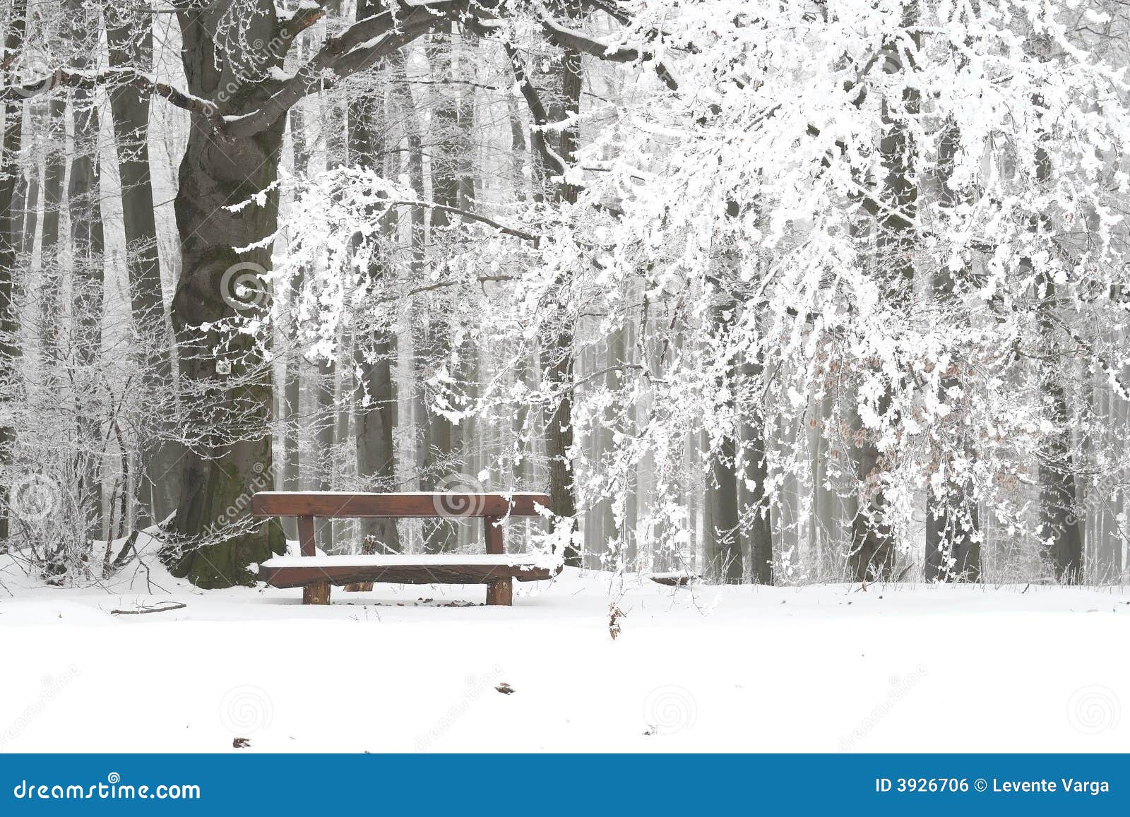 Freezing-point. Picture Image: 3926706