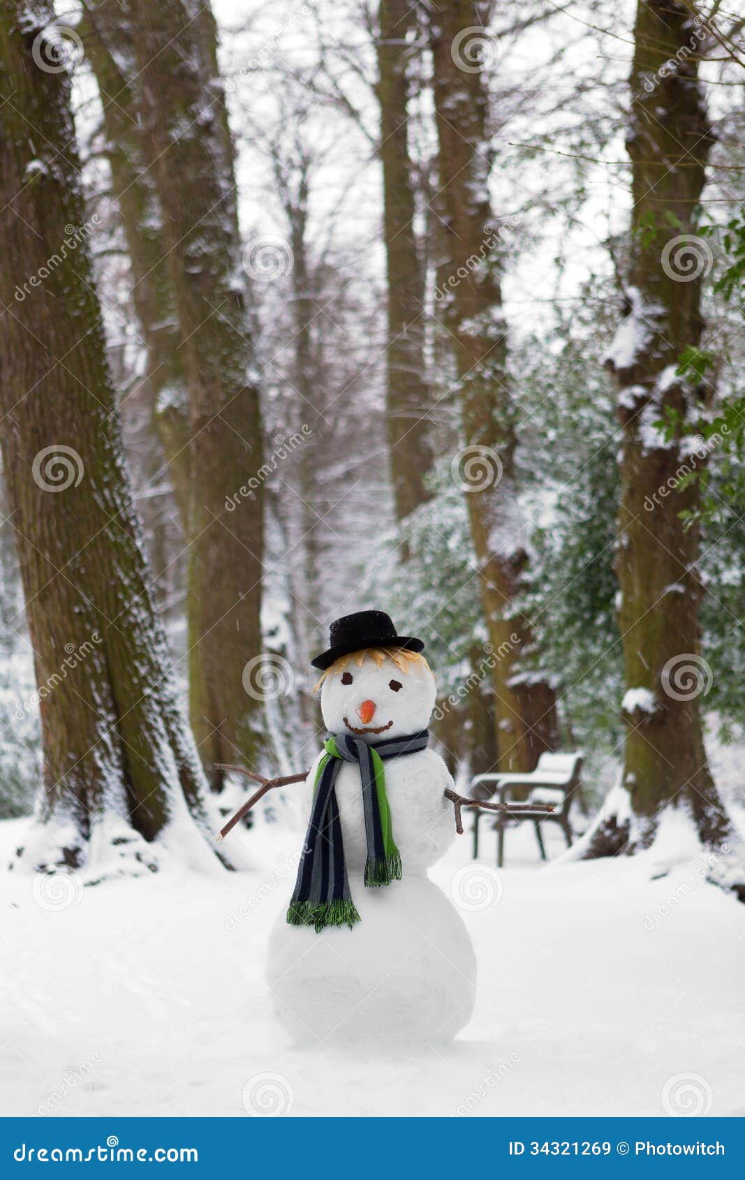 Freezing snowman stock image. Image of happy, xmas, christmas - 34321269