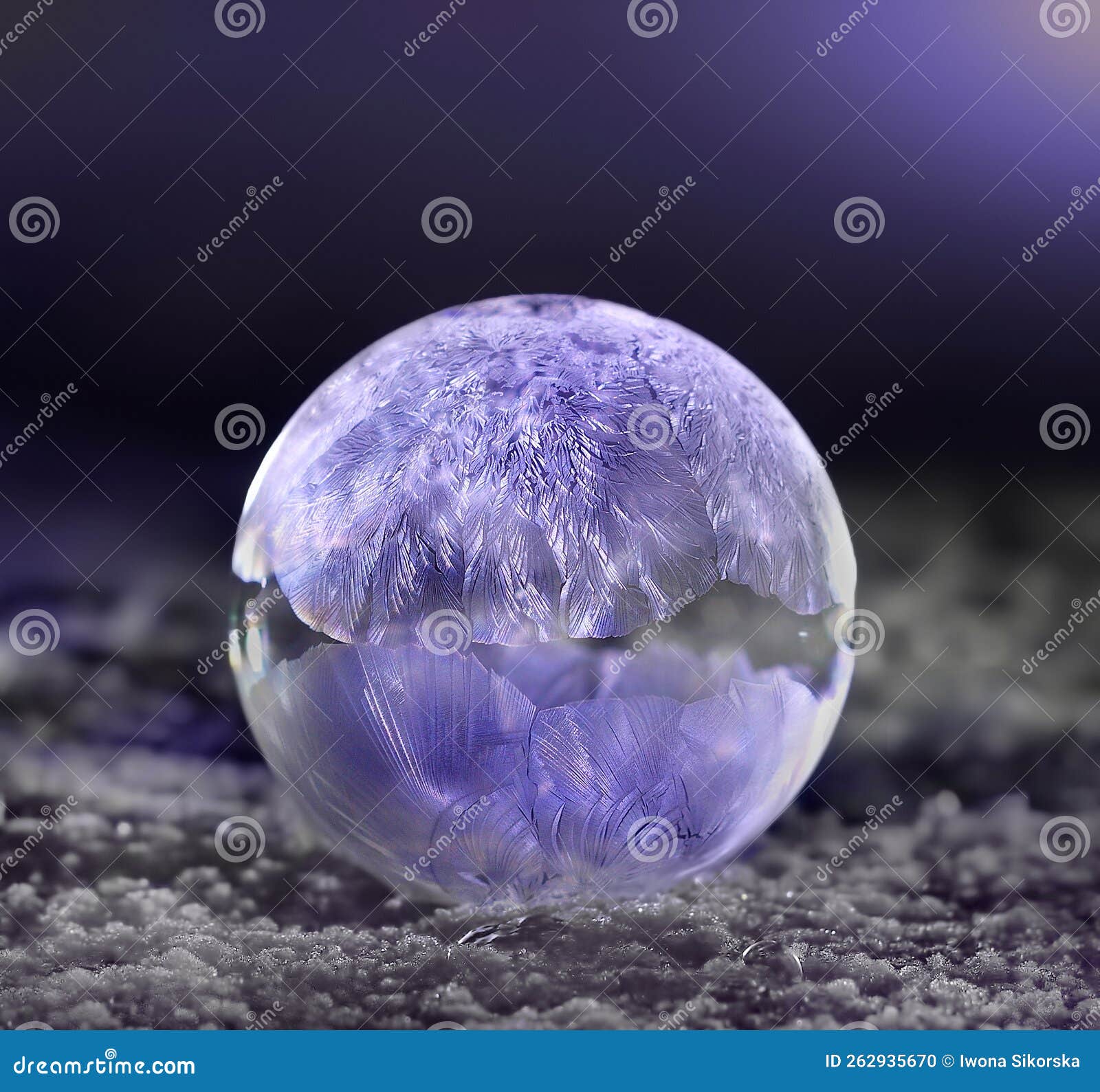 Frozen soap bubble. stock photo. Image of circle, bubble - 262935670